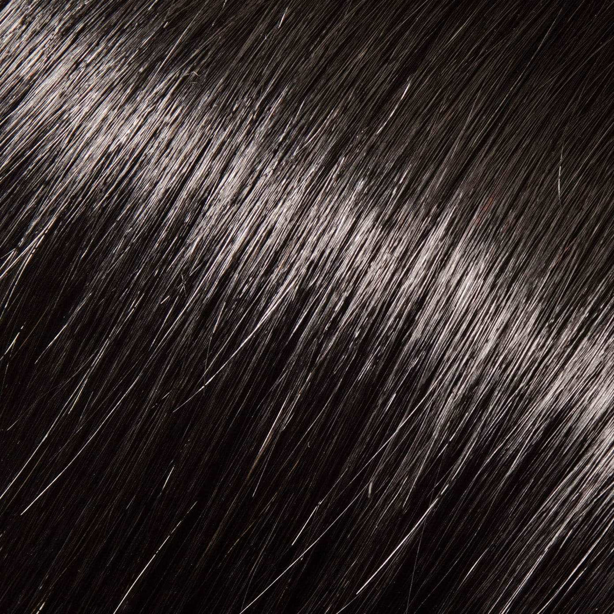 Color Swatch #1N (Natural Black) – Donna Bella Hair