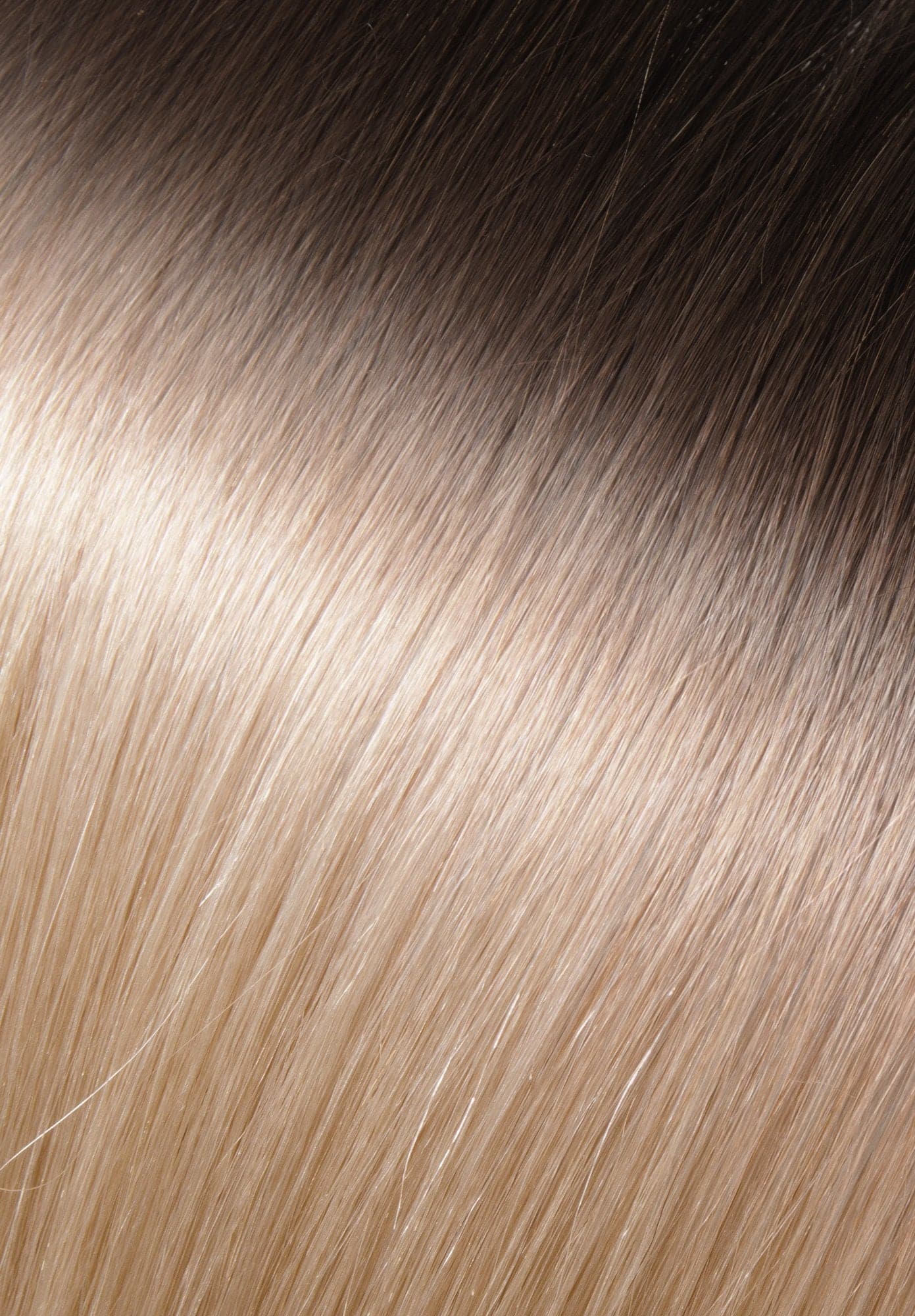 Color Swatch #2N-10N Rooted Ombre – Donna Bella Hair